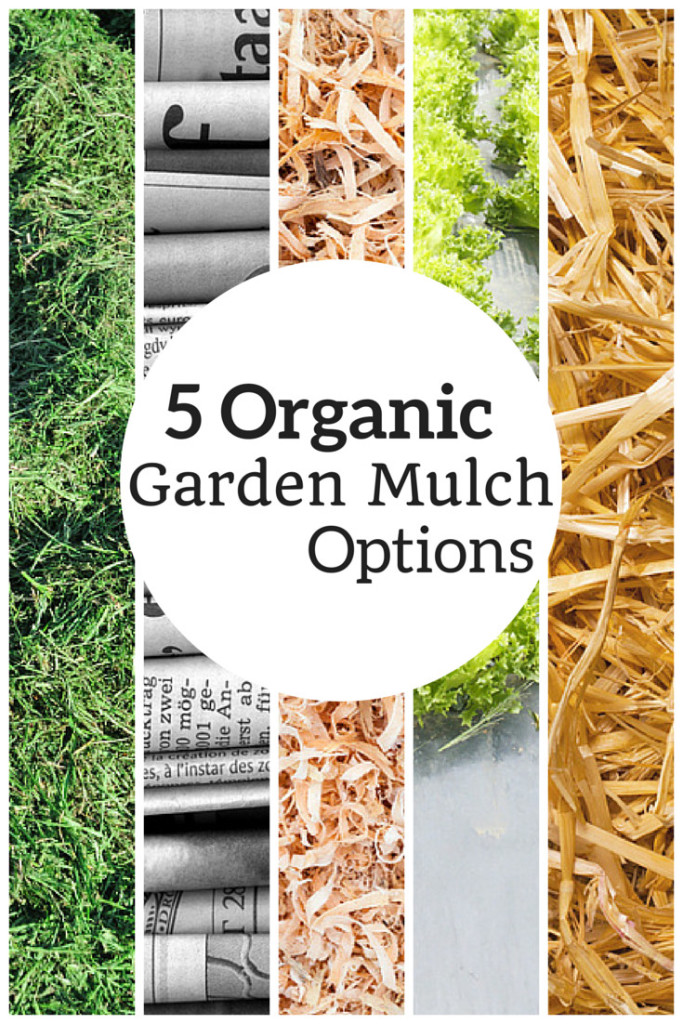 5 Organic Garden Mulch Options - THE LIVING FARM