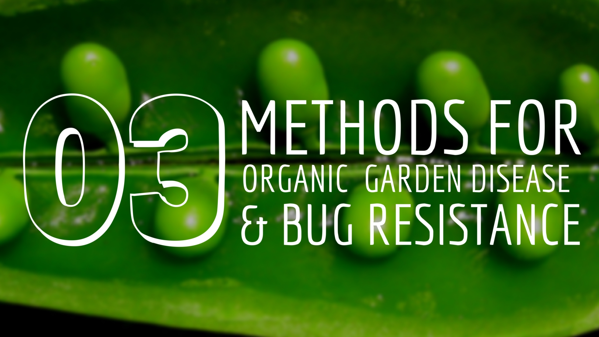 How to Have an Organic Bug and Disease Resistant Garden