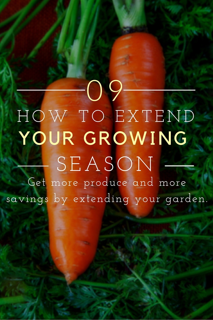 How to Extend Your Growing Season - THE LIVING FARM